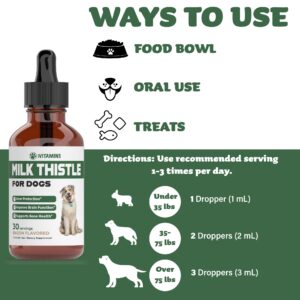 Milk Thistle for Dogs | Supports Liver and Kidney Health | Milk Thistle for Dogs Liver Support | Dog Milk Thistle | Dog Liver Support | Dog Liver Supplement | Milk Thistle Supplement for Dogs | 1 oz