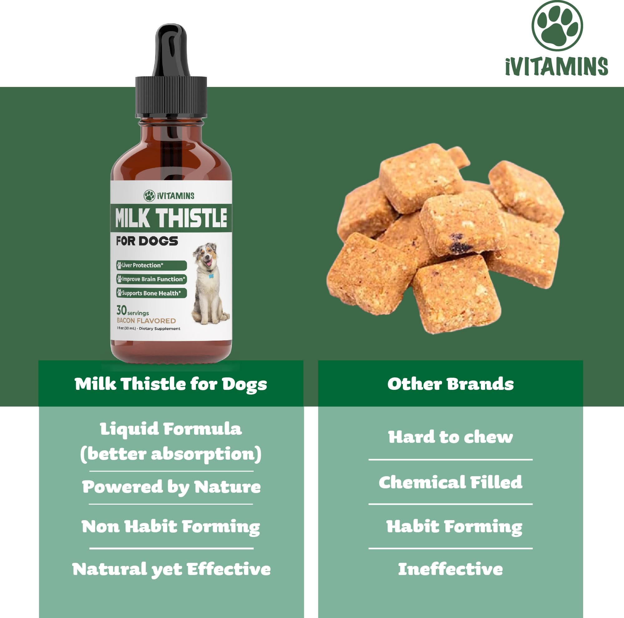 Milk Thistle for Dogs | Supports Liver and Kidney Health | Milk Thistle for Dogs Liver Support | Dog Milk Thistle | Dog Liver Support | Dog Liver Supplement | Milk Thistle Supplement for Dogs | 1 oz