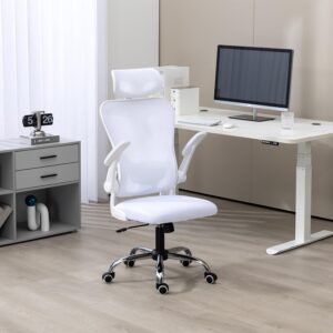 Panana Ergonomic Office Chair High Back Mesh Back Adjustable Headrest Flip-up Padded Armrest Swivel Rolling Desk Chair (White)