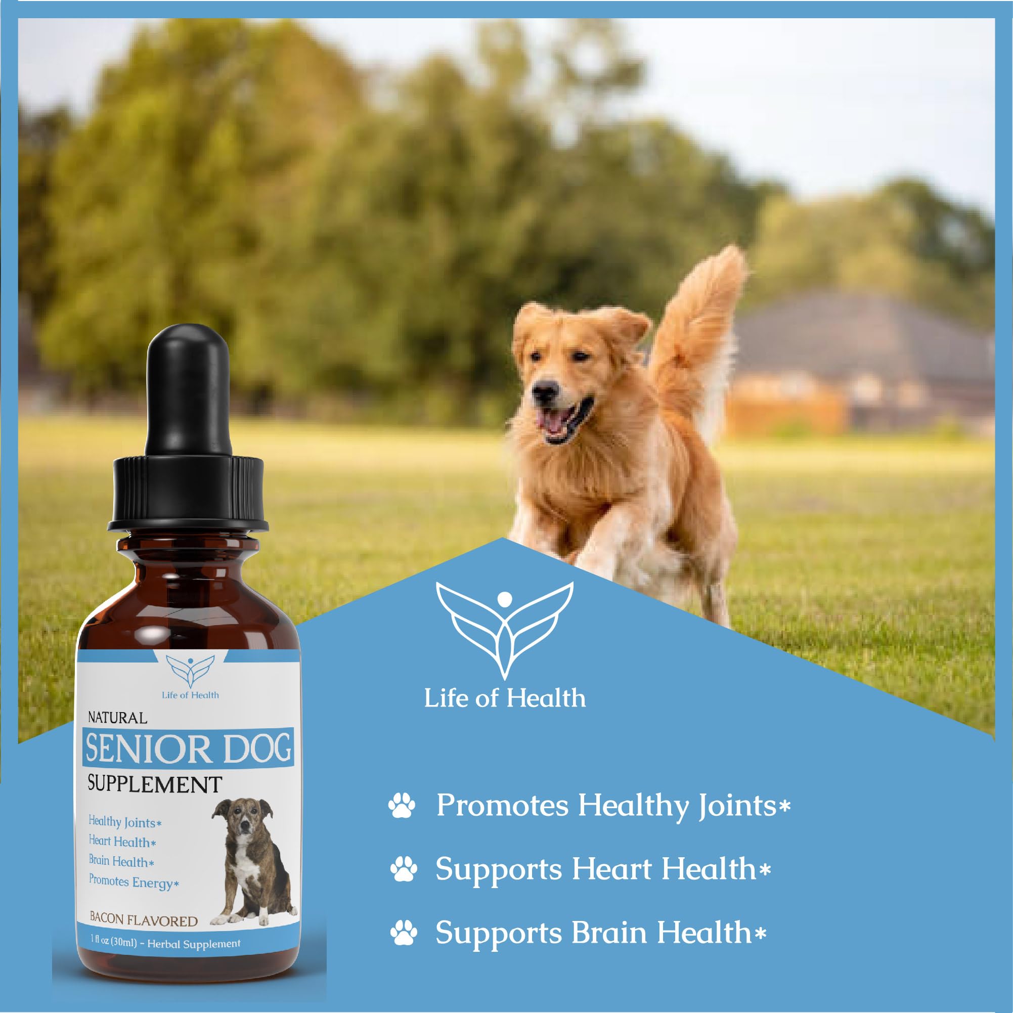 Senior Dog Supplements | Senior Dog Vitamins | Hip and Joint for Dogs | Hip and Joint Supplement Dogs | Senior Dog Joint Supplement | Hip and Joint Supplement Dogs Large Breed | 1 fl oz