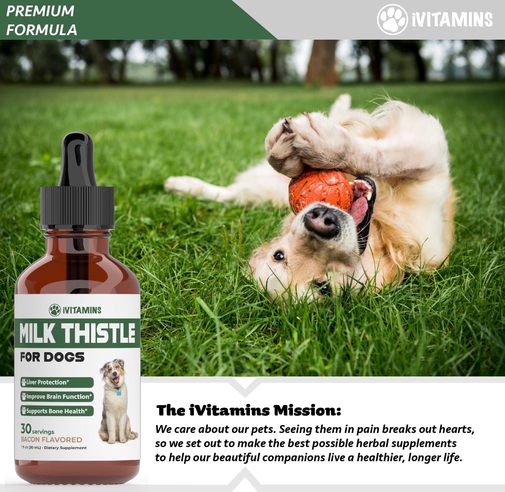 Milk Thistle for Dogs | Supports Liver and Kidney Health | Milk Thistle for Dogs Liver Support | Dog Milk Thistle | Dog Liver Support | Dog Liver Supplement | Milk Thistle Supplement for Dogs | 1 oz