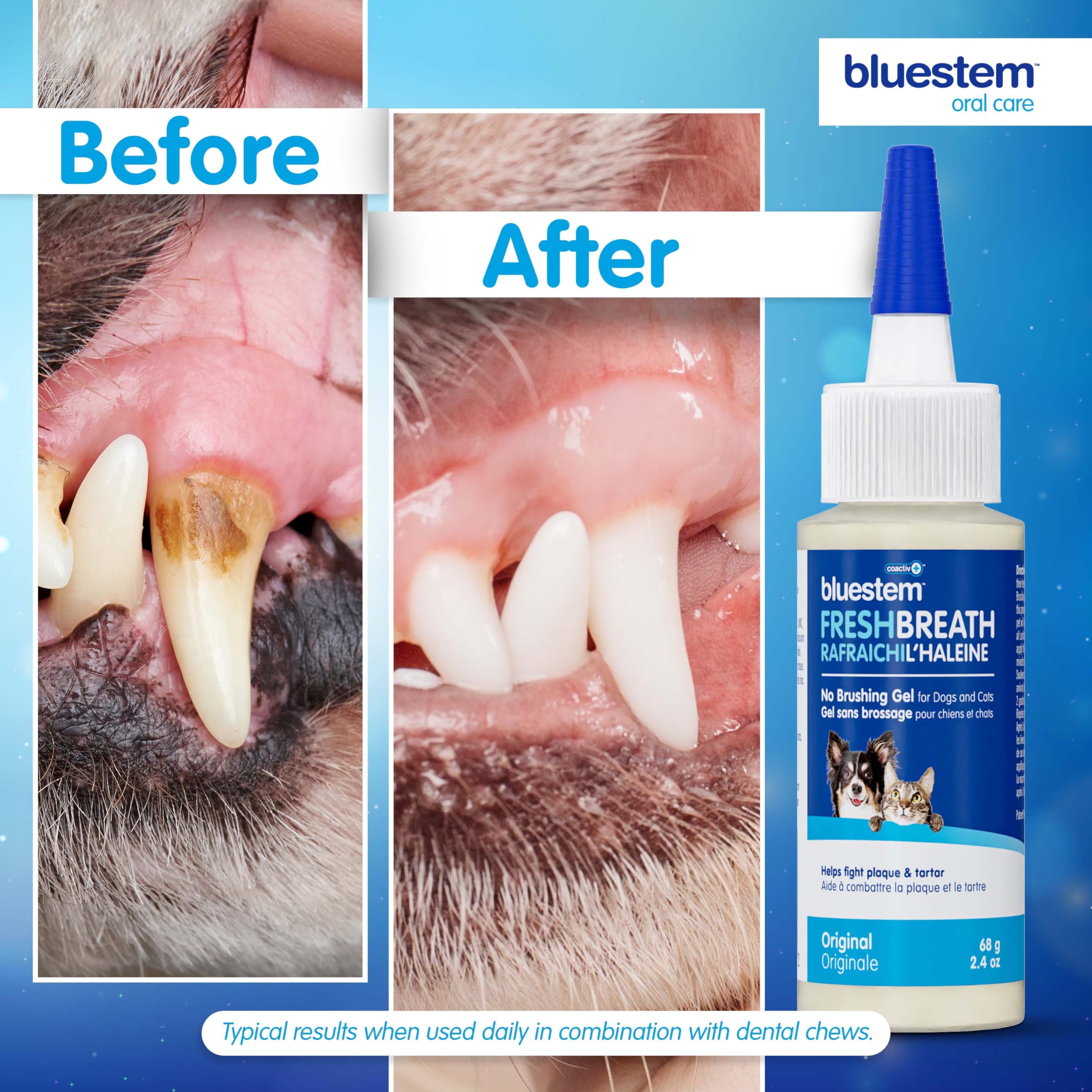 bluestemTM No Brush Dog Dental Gel - Dog Oral Gel to Freshen Breath, and Fights Plaque and Tartar - Brushless Toothpaste for Dogs