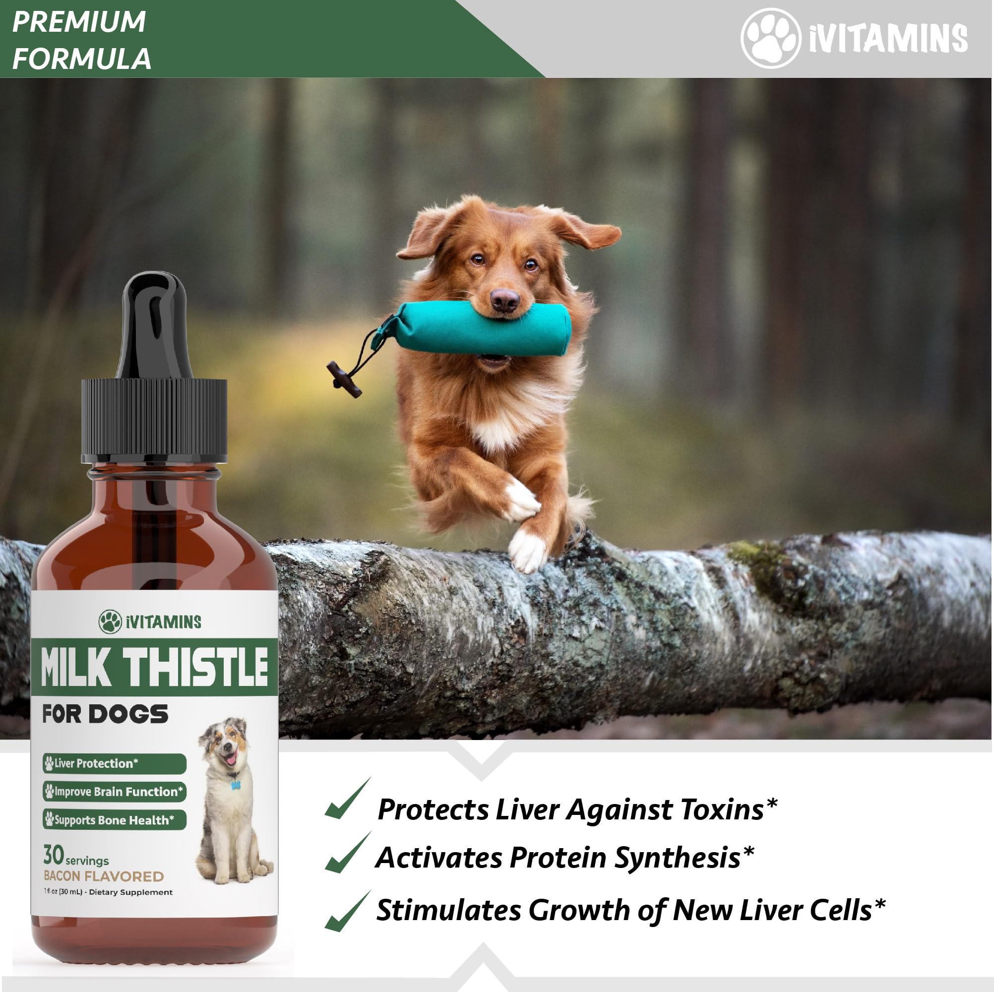 Milk Thistle for Dogs | Supports Liver and Kidney Health | Milk Thistle for Dogs Liver Support | Dog Milk Thistle | Dog Liver Support | Dog Liver Supplement | Milk Thistle Supplement for Dogs | 1 oz