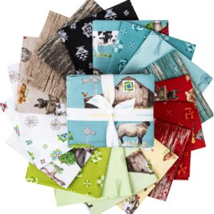 Tara Reed Spring Barn Quilts 18 Fat Quarters Riley Blake Designs FQ-14330-18