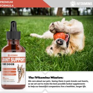 Joint Support Supplement for Dogs | Dog Hip and Joint Supplement | Supports Healthy Hips, Joints, & Much More | Dog Joint Supplement | Joint Supplement for Dogs | Joint Support for Dogs | 1 fl oz