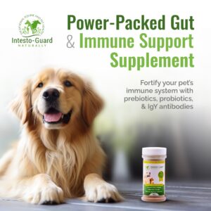 INTESTO-GUARD Probiotic Pet Supplement Prebiotic & Probiotics for Dogs & Cats Bowel, Digestive & Immune Support Supports Gut Flora, Nutrition - 180G Powder, 90 Day Supply (6 Pack) - All-Natural