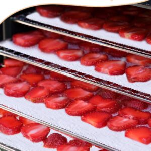 SUCISENI 6 Pack Silicone Dehydrator Sheets (14 x 21 Inch) Premium Non-Stick Silicone Mesh Mat for Fruit Food Dehydrator Reusable Dehydrator Tray Liners for Fruits Meat Vegetables Herbs