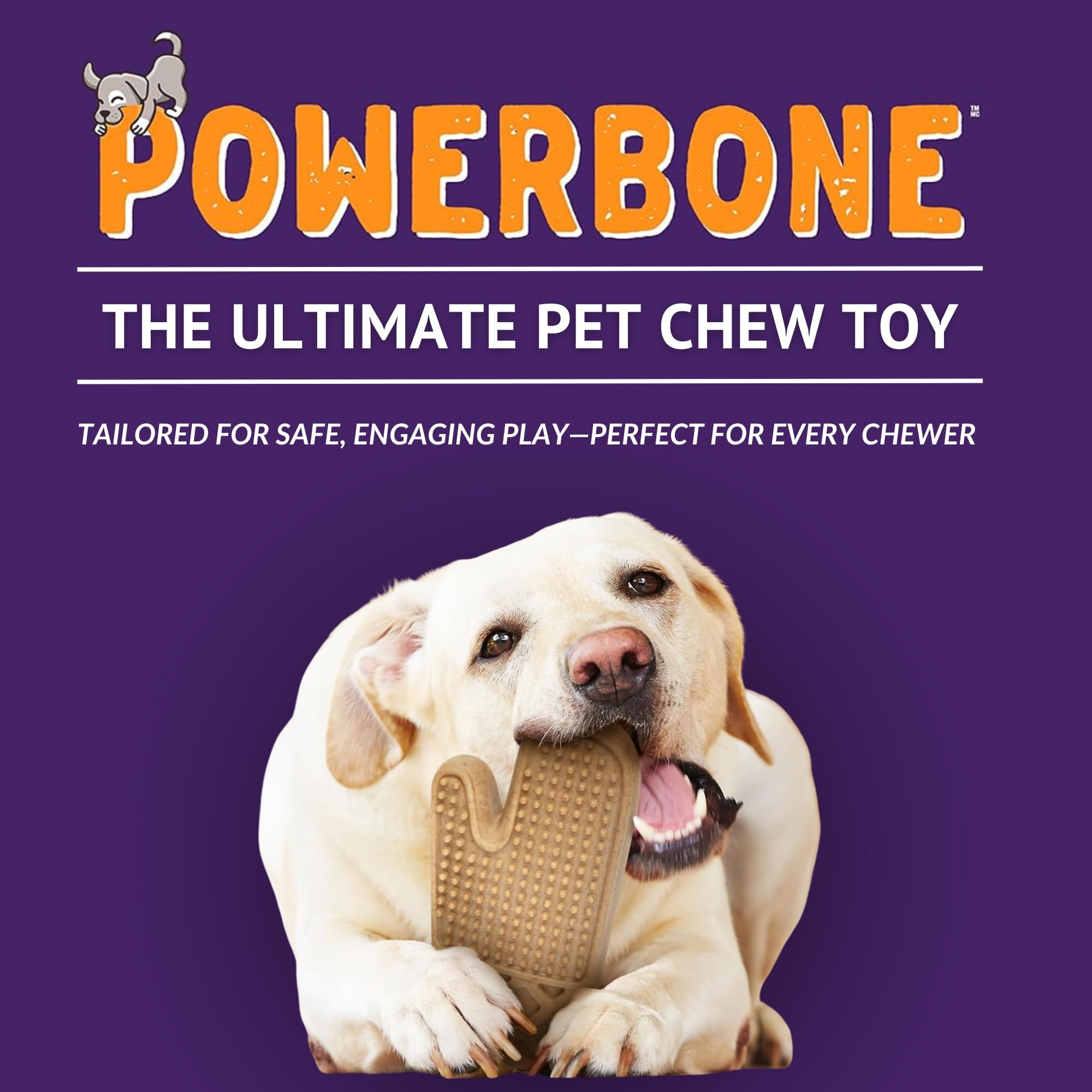 Power Bone Pet Chew Toy for Dogs - Durable, Non Toxic & Pet Safe - Best for Aggressive Chewers, Long Lasting Dental Health, Dog Teeth Cleaning, Dog Life Stages - Twist Tail 6''