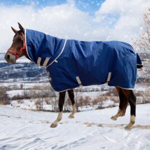 1200d winter waterproof horse trunout blanket, 340g warm cotton filling liner with turnout neck cover detachable, medium weight waterproof horse blanket (back length 78 inch / 145 cm)