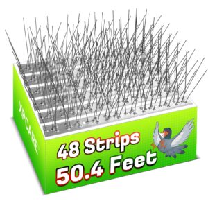 xpcare 50.4 feet bird spikes, stainless steel bird spikes fence spikes for crow robin pigeon squirrel raccoon defender spikes (48 packs uninstalled)