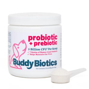 buddy biotics probiotic + prebiotic for dogs- gut flora health, digestive and immune health, diarrhea and bowel support – 5 billion cfu per scoop