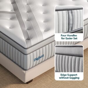 Queen Mattresses, DIGLANT 14 Inch Plush Hybrid Mattress, Queen Size Memory Foam Mattresses with Individually Pocketed Coils Innerspring, Motion Isolation & Back Pain Relief, Queen Mattress in Box