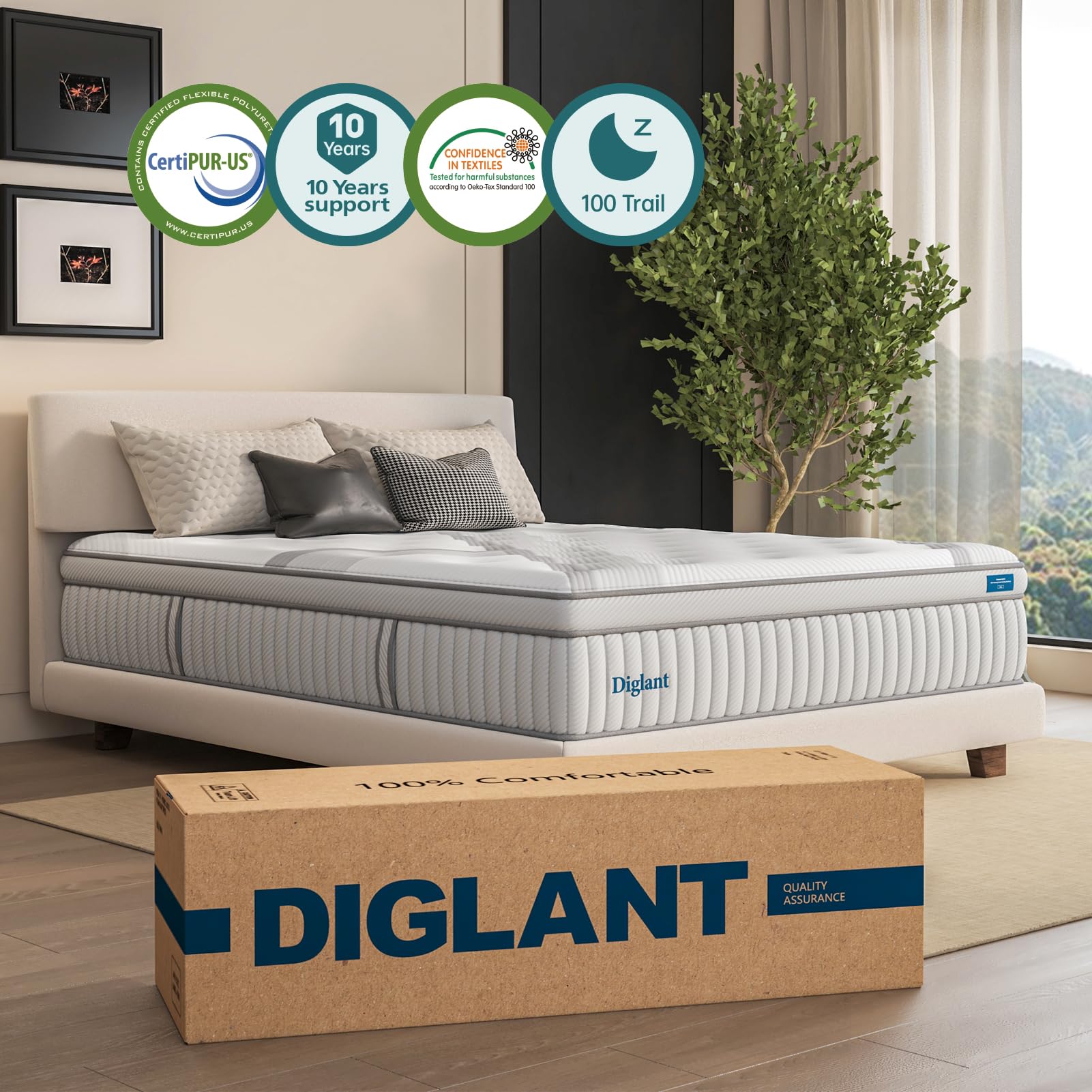 Queen Mattresses, DIGLANT 14 Inch Plush Hybrid Mattress, Queen Size Memory Foam Mattresses with Individually Pocketed Coils Innerspring, Motion Isolation & Back Pain Relief, Queen Mattress in Box