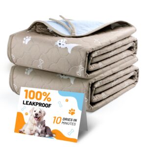 Washable Pee Pads for Dogs, Reusable Puppy Pads Waterproof, 2 Pack Dog Pee Pads, Potty Pads for Dogs, Super Absorbent, Add 8 Lanyards, Puppy Training Pads (31x36 Inch ,Pack of 2)