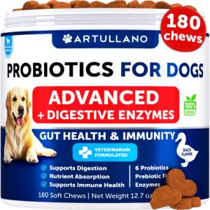 probiotics for dogs - support gut health, itchy skin, allergies, immunity, yeast balance - dog probiotics and digestive enzymes with prebiotics - reduce diarrhea, gas - 180 probiotic chews for dogs