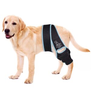 dog knee brace (small) dog knee brace for torn acl hind leg - dog knee brace promotes faster recovery - extra supportive dog leg brace with 10x stabilizers & longer straps for an anti-slip comfort fit