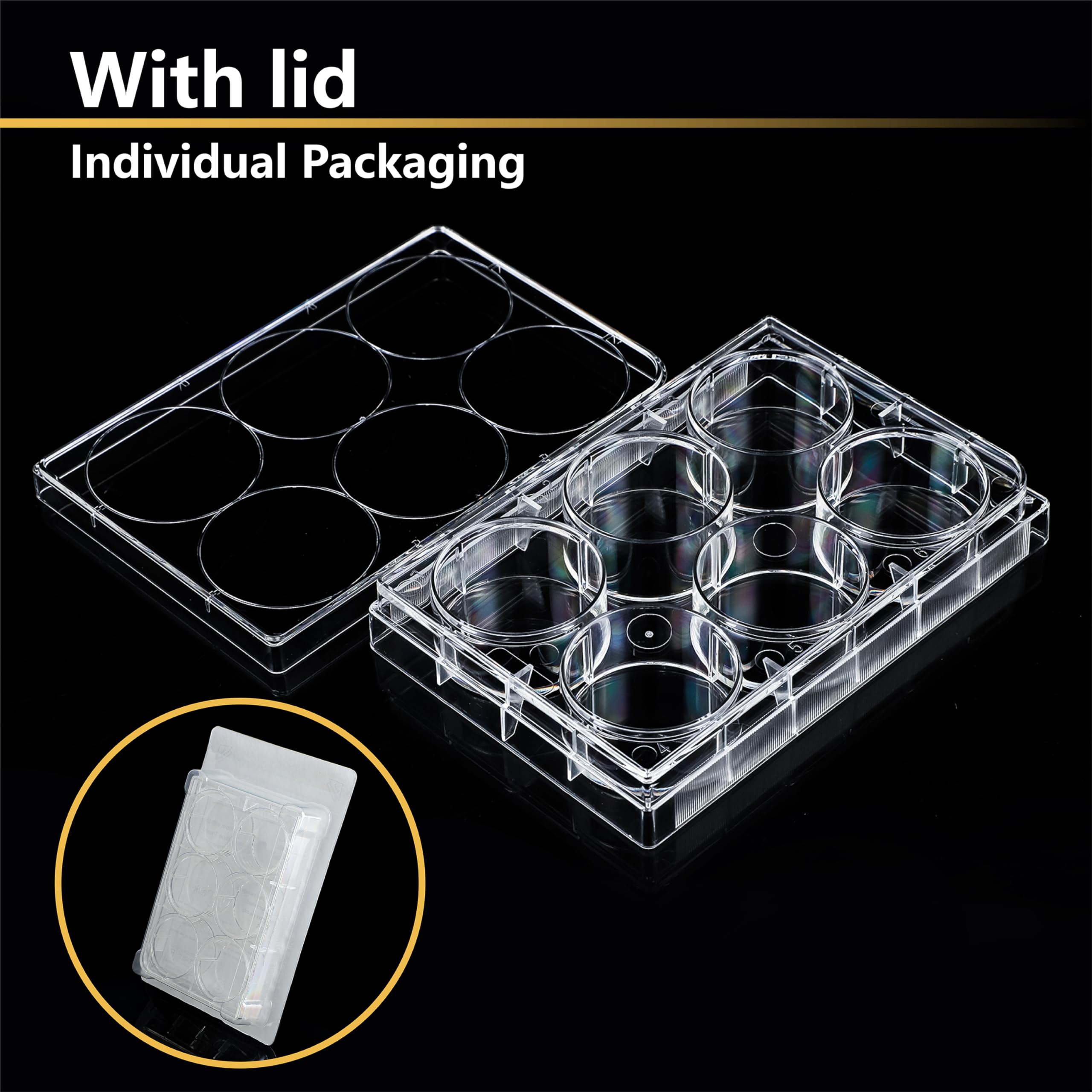 4E's USA 6 Well Cell Culture Plate with Lid, Tissue Culture Treated Plate, Sterile, Individual Packing, Pack of 5 Plates