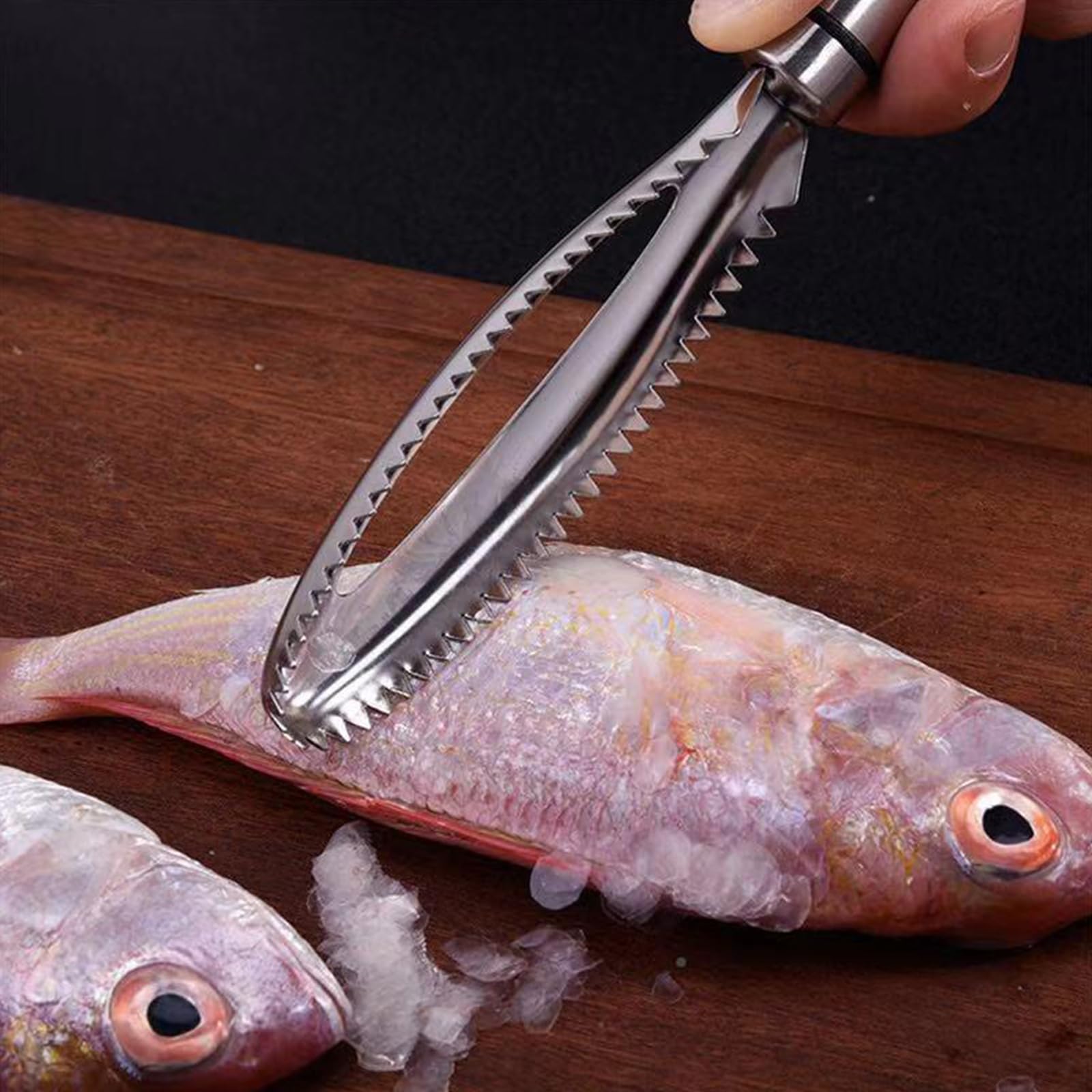 Haikole fish scaler Stainless Steel Fish Scaler Remover,Portable 304 Stainless Steel Fish Scaler Remover,Sawtooth Fish Descaler Tool for Seafood Markets,Family Kitchen seafood tools (Stainless Steel)