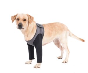 dog sleeves for wounds both front legs，cone collar alternative, abrasion resistant dog recovery sleeve, washable 2.5mm thick and waterproof, breathable pet wounds prevent licking, bite grey (large)