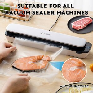 Cloudslucky Vacuum Sealer Bags for Food Pint 6"x10" 100 Pcs Seal a Meal Bag, Food Saver Bags Sous Vide Bags Pre-cut Thick BPA-Free Textured Heavy Duty Vacuum Seal, Meat Cheese Dry Goods