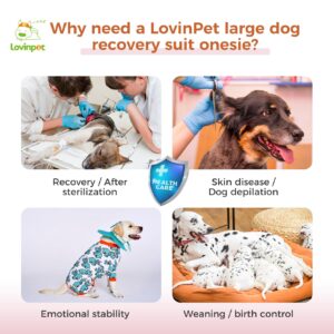 LovinPet Recovery Pj Dog - Dog's Bodysuit Wound Protective Surgical,E-Collar Alternative Recovery Snugly Suit for Abdominal Wounds After Surgery Anti-Licking Dog Onesies,Rhino,Green,XXL