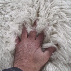 Stylish Super Thick Flokati Rugs. Long 3.5” Organic Wool Pile. Shaggy Natural Wool Area Rug. (3' x 5')