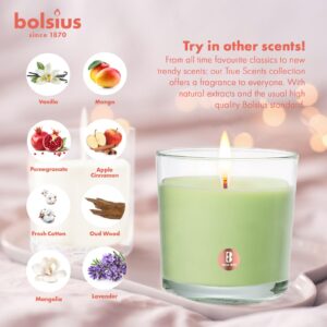 Bolsius Green Tea Scented Candle - Premium Long-Lasting Candle Jar, 43+ Hours Burning Time - Natural Candle with Plant-Based Wax- Smokeless. Clean-Burning Aromatherapy Candle - Large, 8oz Glass Jar