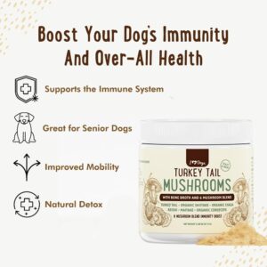 iHeartDogs Turkey Tail Mushroom for Dogs with Bone Broth and 6 Mushroom Blend Powder - Mushroom Supplement for Dogs