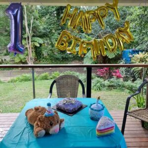 40 Inch Purple 1 Balloon for First Birthday, Purple One 1st Number Balloon Birthday Decorations for Girl Boy Toddler Baby, 10th 21st, Giant Number 1 Balloon