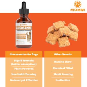 Glucosamine for Dogs | Supports Healthy Hips, Joints, & More | Glucosamine for Dogs Hip and Joint Supplement | Dog Glucosamine | Dog Joint Supplement | Glucosamine Chondroitin for Dogs | 1 fl oz