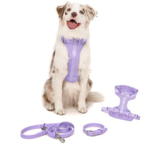 dog harness and leash set | bearbone no pull dog harness and waterproof dog collar and leash set | heavy duty dog harness, leash and collar | medium dog harness, leash and collar (lilac, medium)