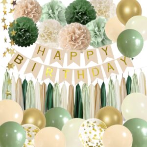 sage green birthday party decorations with birthday banner,tissue tassels paper pompoms balloons star garland cake topper birthday decorations for women adults