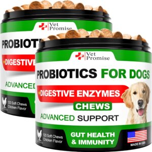 (2 pack) probiotics for dogs - dog probiotics and digestive enzymes for gut health, itchy skin, allergies, immunity, yeast balance - prebiotics - reduce diarrhea, gas - 240 probiotic chews for dogs