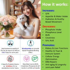 Eventually Young 12-in-1 Kidney Support for Dog & Cat with NMN & Fisetin - Super Phosphate Binder Kidney and Liver Supplement for Feline, Canine Healthy Aging & Longevity (60 Capsules)