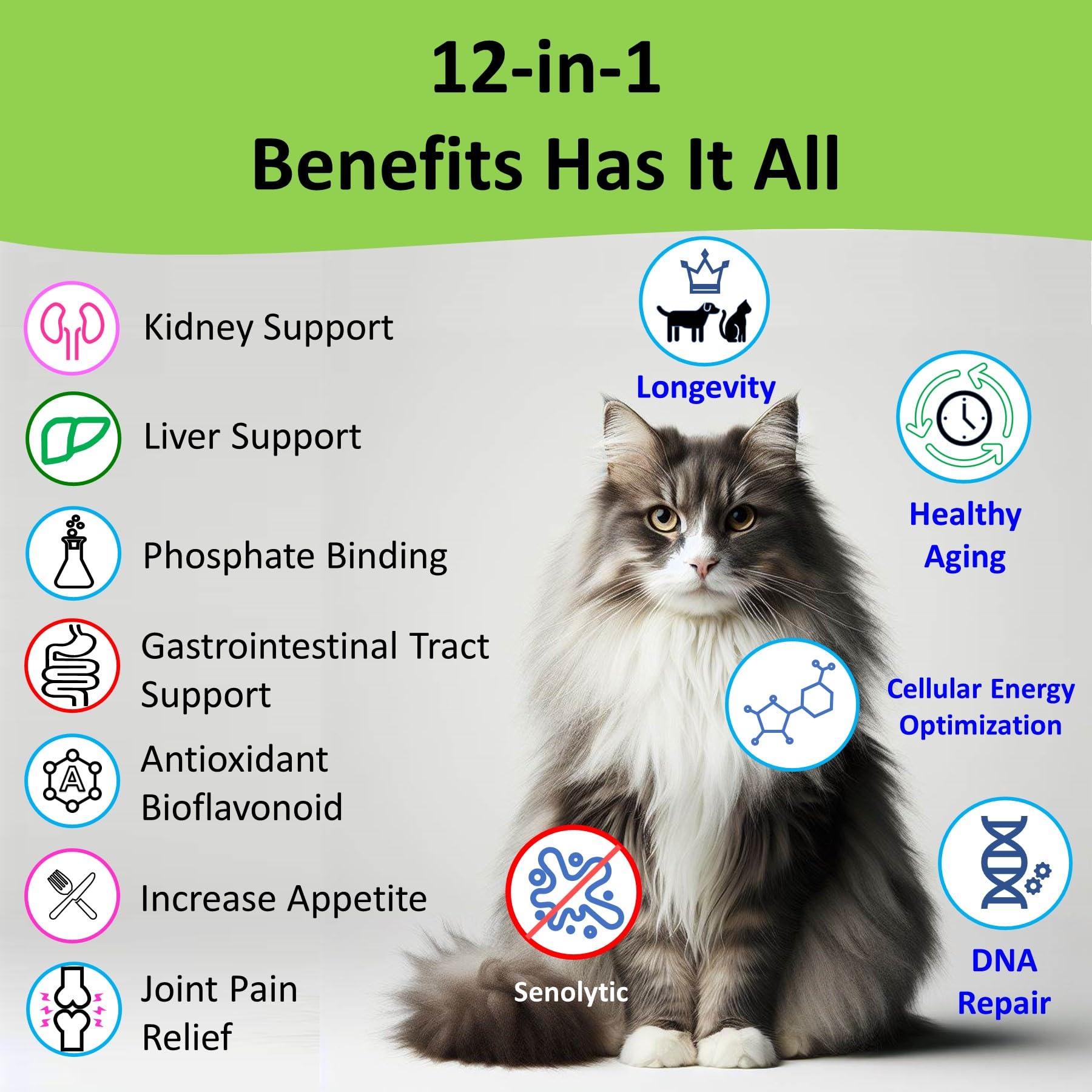 Eventually Young 12-in-1 Kidney Support for Dog & Cat with NMN & Fisetin - Super Phosphate Binder Kidney and Liver Supplement for Feline, Canine Healthy Aging & Longevity (60 Capsules)