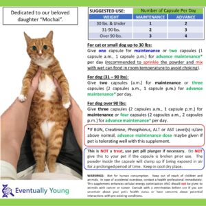 Eventually Young 12-in-1 Kidney Support for Dog & Cat with NMN & Fisetin - Super Phosphate Binder Kidney and Liver Supplement for Feline, Canine Healthy Aging & Longevity (60 Capsules)