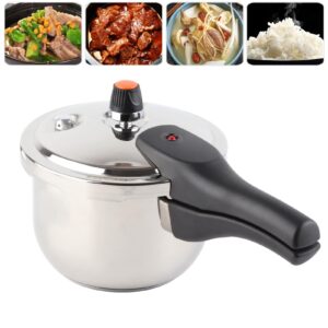 Stainless Steel Pressure Cooker, Multifunctional with Safety Valve, 80KPA, Handle, Cooking Pot for Fast Efficient Cooking (2L)