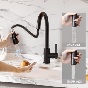 TRE Home Kitchen Faucets, Kitchen Faucet with Pull Down Sprayer, Kitchen Sink Faucet, RV Faucets Kitchen, Utility Sink Faucet with Sprayer, Laundry Sink Faucet, Single Hole Kitchen Faucet Only