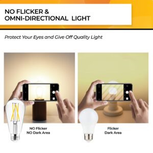 Hizashi Vintage LED Edison Bulb Dimmable, 6W Equivalent 60W, 3000k Soft White, E26 Base Led Light Bulbs, 700LM, High CRI 95+ Eye Protection, Clear Glass, Pack of 12