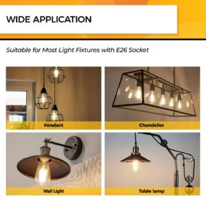 Hizashi Vintage LED Edison Bulb Dimmable, 6W Equivalent 60W, 3000k Soft White, E26 Base Led Light Bulbs, 700LM, High CRI 95+ Eye Protection, Clear Glass, Pack of 12