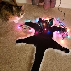 Light Up Fried Cat Rug, Funny Aunt Bethany’s Fried Pussycat Rug from National Lampoon’s Humour Christmas Vacation Decoration Carpet, Christmas Lights Decoration for Family Friends