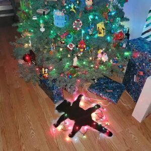 Light Up Fried Cat Rug, Funny Aunt Bethany’s Fried Pussycat Rug from National Lampoon’s Humour Christmas Vacation Decoration Carpet, Christmas Lights Decoration for Family Friends