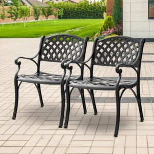 PATIO-IN Outdoor Dining Chairs Set of 2, Cast Aluminum Patio Chairs Set with Armrest, Bistro Chairs Outdoor for Garden, Porch, Backyard