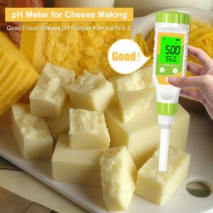 GISNPA Digital pH Meter for Food, 0.01 Resolution High Accuracy Food pH Tester with Backlit LCD Display and ATC for Meat, Bread, Canning, Brewing, Cheese, Solid Sampling, Soft Soil and Water