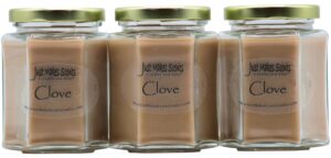 3 pack - clove scented candle | warm and spicy ground cloves | hand poured in the usa by just makes scents