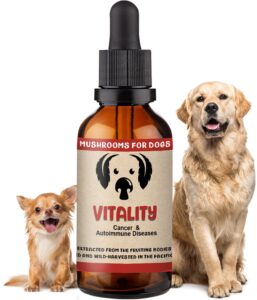 mycodog vitality mushroom extract & adaptogen tincture - mushroom & ashwagandha supplements for dogs with debilitating conditions - turkey tail, chaga, maitake, reishi mushroom, & shiitake mushrooms