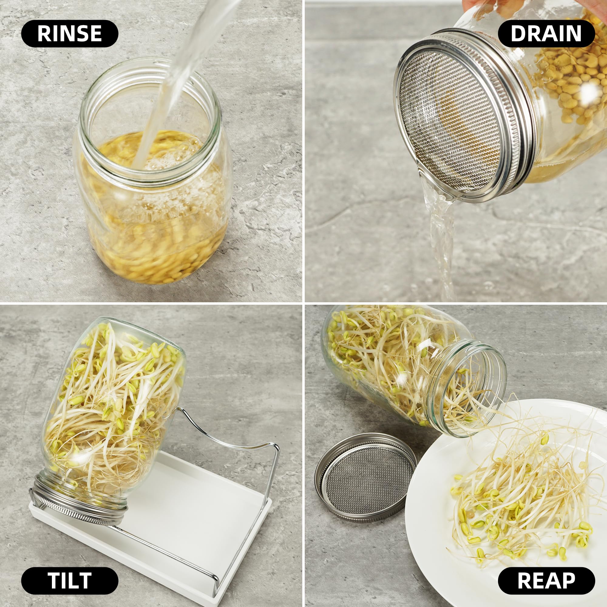 Zeato Sprouting Jar Kit Seed Sprouter Set for Growing Broccoli, Alfalfa, Mung Bea, Premium Stainless Steel Screen Sprout Lids, 2 Wide Mouth Mason Jars, Blackout Sleeves, Tray, Stand and Canning Brush