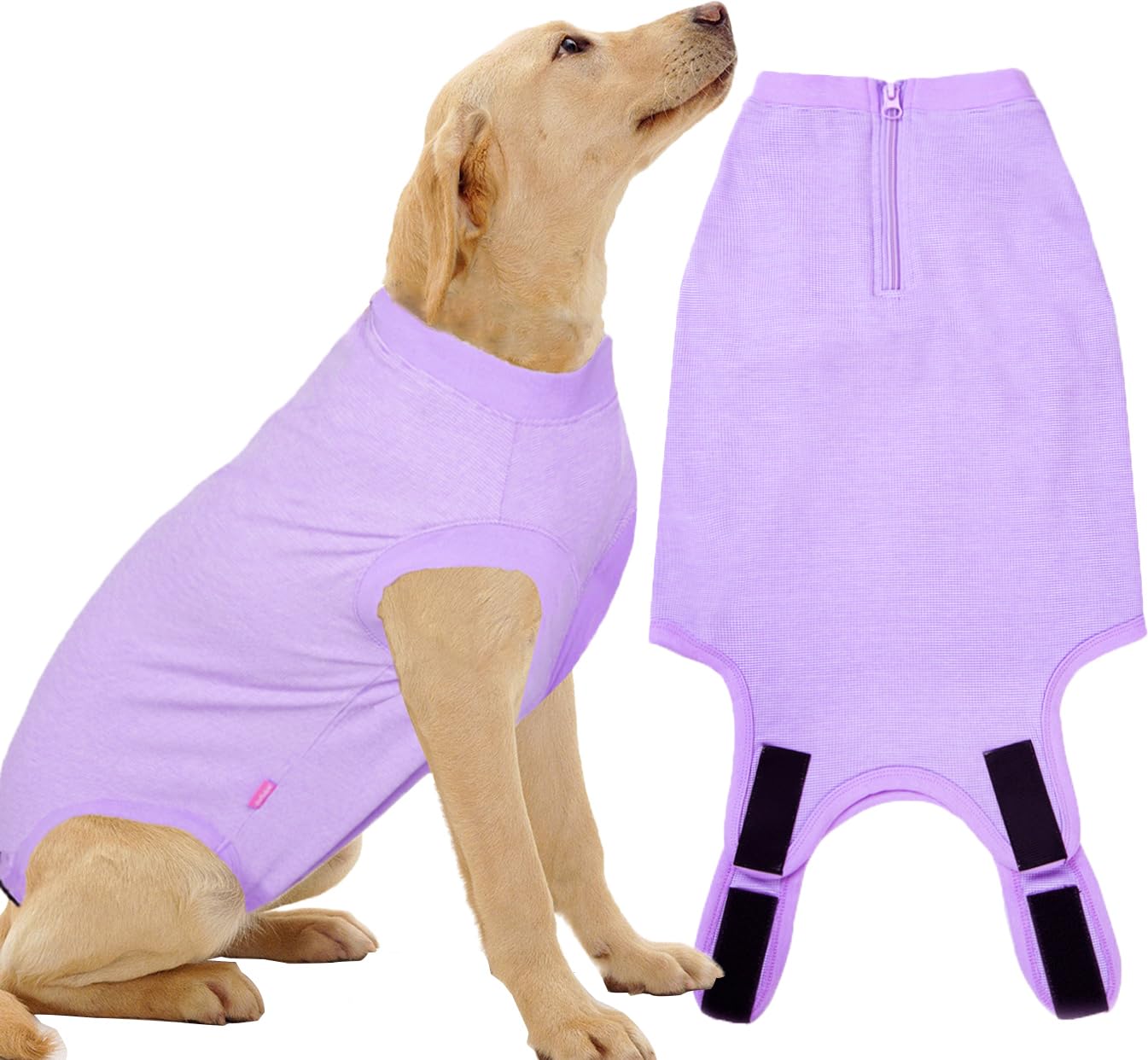 Wabdhaly Dog Surgery Recovery Suit for Large Female Spay,Anti Licking Dog Surgical Recovery Onesie,Fashion Striped Purple L