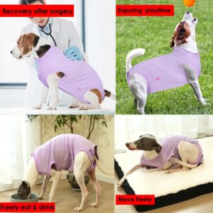 Wabdhaly Dog Surgery Recovery Suit for Large Female Spay,Anti Licking Dog Surgical Recovery Onesie,Fashion Striped Purple L