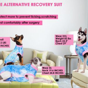 Wabdhaly Dog Surgery Recovery Suit for Medium Female Spay,Anti Licking Dog Surgical Recovery Onesie,Tie Dye Blue Pink M